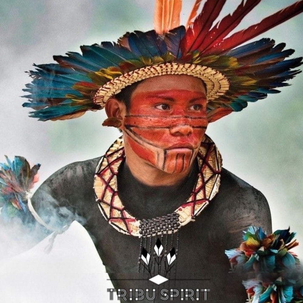 Shamanic Shop | Natural Plant Medicines from Indigenous Tribes
